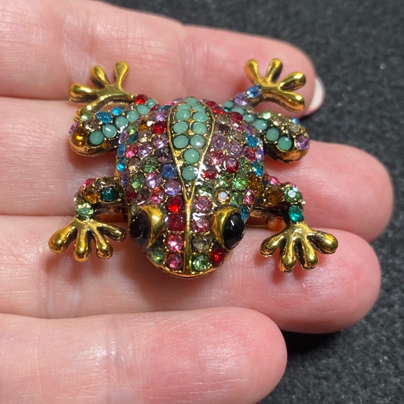 Jewelry | Rainbow Frog Toad Brooch | Poshmark